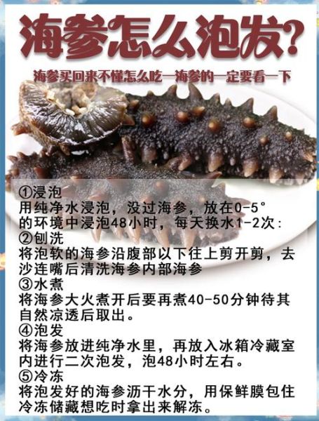 干海参怎么泡发_干海参的做法步骤-第2张图片-山城妙识