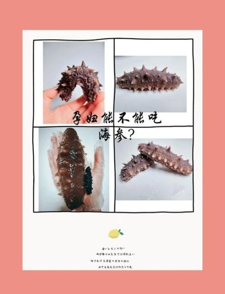 孕妇可以吃海参吗_怀孕吃海参的好处与禁忌-第1张图片-山城妙识
