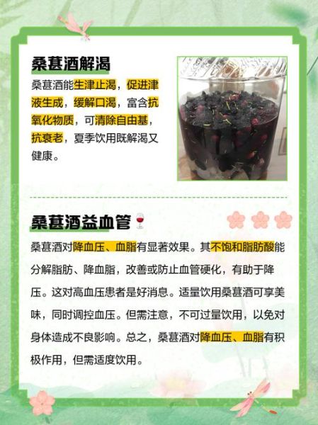 桑葚酒的功效与作用及禁忌症_哪些人不能喝-第2张图片-山城妙识