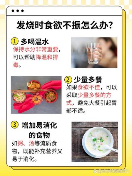 发高烧吃什么食物最好_高烧饮食禁忌有哪些-第1张图片-山城妙识