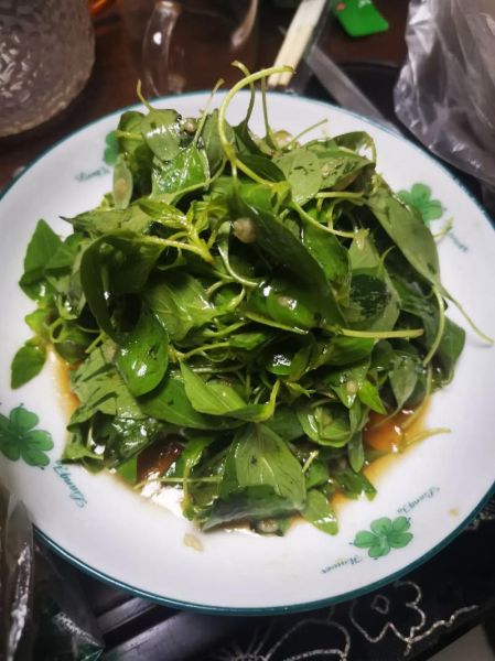 荆芥怎么吃_荆芥的吃法有哪些-第1张图片-山城妙识
