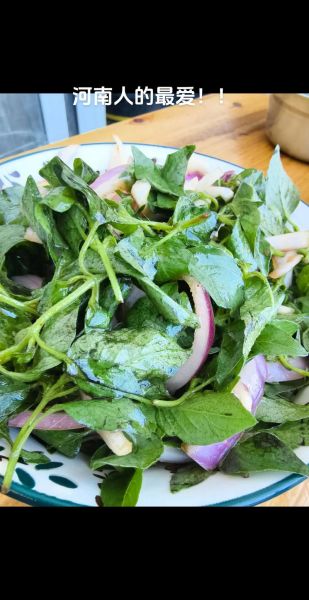 荆芥怎么吃_荆芥的吃法有哪些-第2张图片-山城妙识