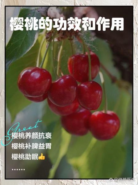 车厘子有什么功效与作用_车厘子禁忌症有哪些-第1张图片-山城妙识 车厘子有什么功效与作用_车厘子禁忌症有哪些-第1张图片-山城妙识