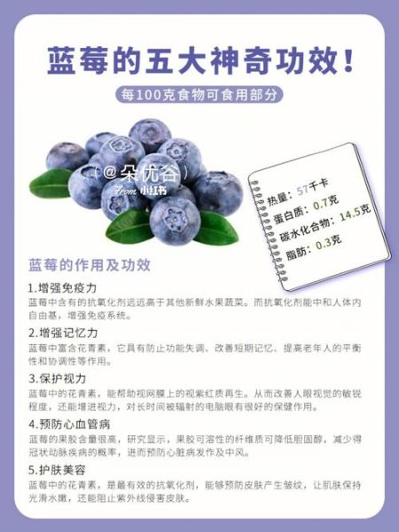 蓝莓的功效与作用禁忌_蓝莓一天吃多少颗最好-第2张图片-山城妙识