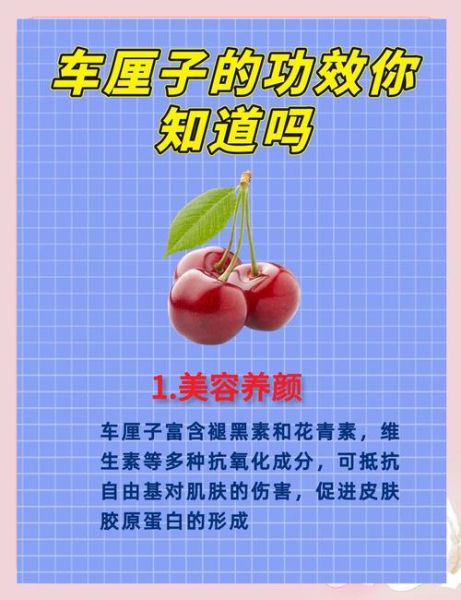 车厘子有什么功效与作用_车厘子禁忌症有哪些-第2张图片-山城妙识 车厘子有什么功效与作用_车厘子禁忌症有哪些-第2张图片-山城妙识