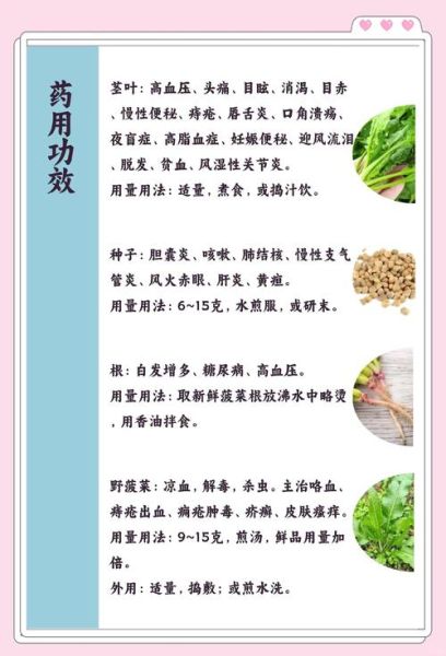 菠菜的功效与作用禁忌_菠菜怎么吃最营养-第2张图片-山城妙识