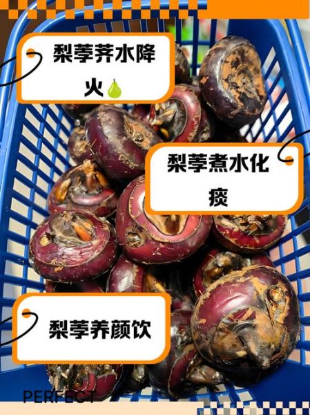 荸荠和梨煮水的功效_适合什么人喝-第1张图片-山城妙识