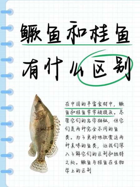 香桂鱼和桂鱼的区别_哪个更好吃-第1张图片-山城妙识