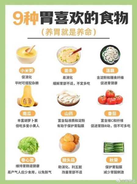 胃不好吃什么养胃_胃不好多吃8种食物-第2张图片-山城妙识