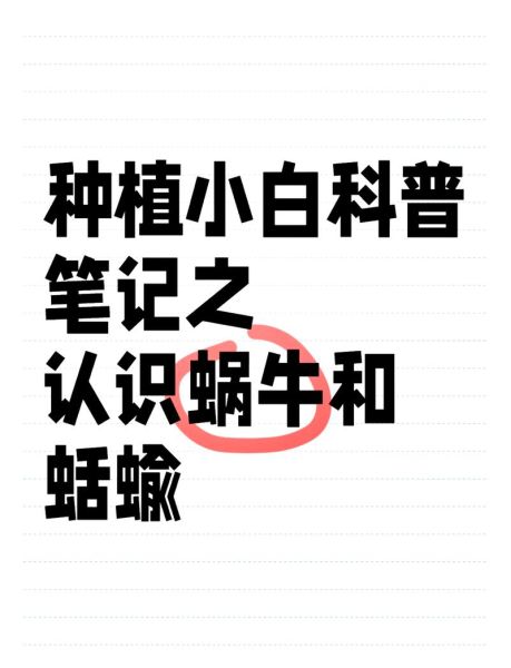 蛞蝓对人体有什么危害_蛞蝓会传播寄生虫吗-第2张图片-山城妙识
