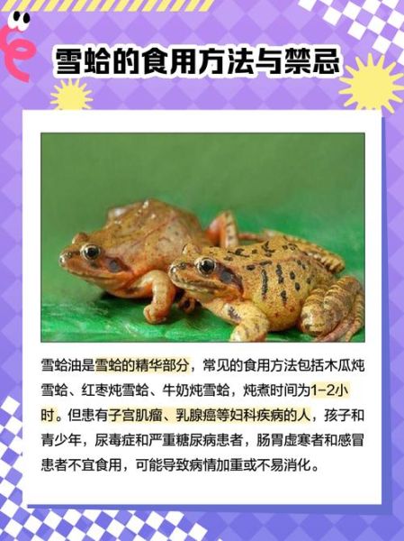 雪蛤的功效与副作用_雪蛤适合什么人吃-第3张图片-山城妙识 雪蛤的功效与副作用_雪蛤适合什么人吃-第3张图片-山城妙识