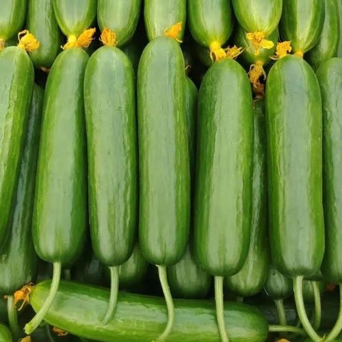 荷兰瓜能直接吃吗_生吃安全吗-第3张图片-山城妙识