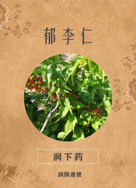 根治便秘的偏方大全_便秘吃什么最快通便-第1张图片-山城妙识