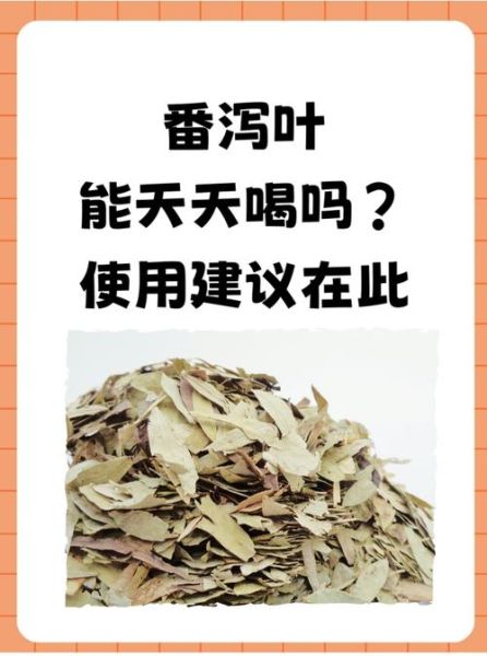 番泻叶可以天天喝吗_长期饮用副作用-第2张图片-山城妙识 番泻叶可以天天喝吗_长期饮用副作用-第2张图片-山城妙识