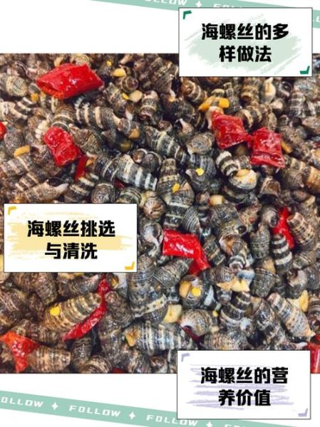 海螺丝煮多久才熟_海螺丝怎么判断熟没熟-第1张图片-山城妙识
