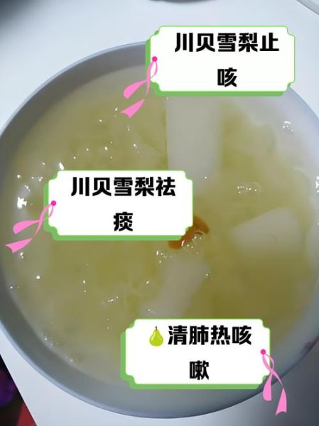 川贝粉怎么吃_川贝粉的正确用量-第2张图片-山城妙识