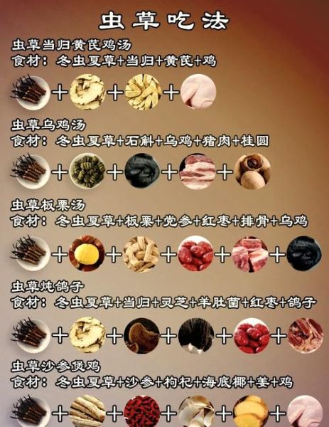 冬虫夏草怎么吃最好吸收_冬虫夏草一天吃几根合适-第3张图片-山城妙识