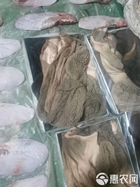 牛肚上的黑绒要不要洗掉_牛肚黑绒怎么去除-第2张图片-山城妙识 牛肚上的黑绒要不要洗掉_牛肚黑绒怎么去除-第2张图片-山城妙识