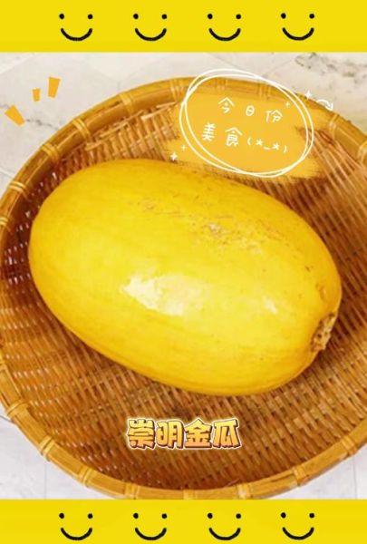 凉拌金丝瓜怎么做_金丝瓜怎么去皮-第3张图片-山城妙识 凉拌金丝瓜怎么做_金丝瓜怎么去皮-第3张图片-山城妙识