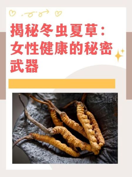 女人长期吃冬虫夏草的好处_有哪些-第2张图片-山城妙识