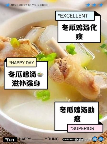 冬瓜炖鸡汤怎么炖好喝_家常冬瓜鸡汤做法-第2张图片-山城妙识