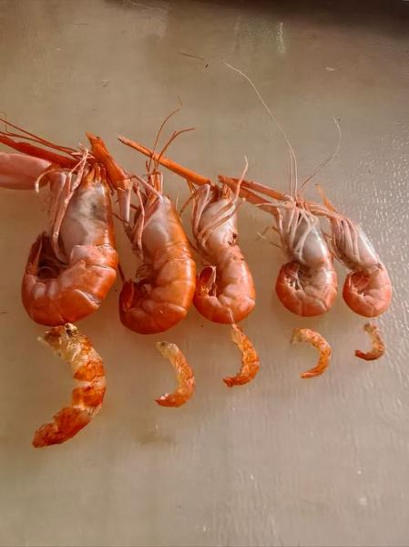 海米怎么保存_海米放冷藏还是冷冻-第3张图片-山城妙识 海米怎么保存_海米放冷藏还是冷冻-第3张图片-山城妙识