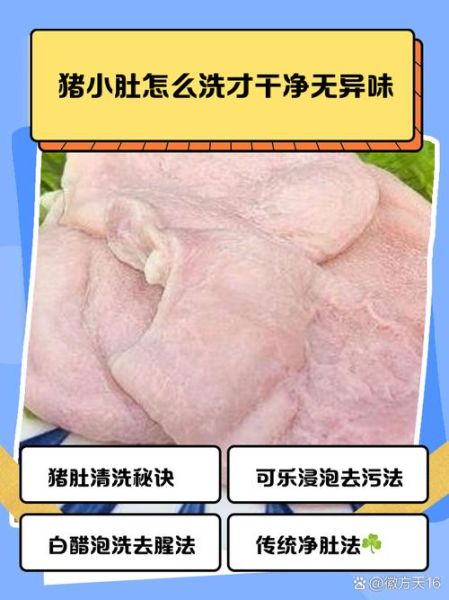 猪肚怎么洗干净又没臭味_猪肚去腥技巧-第1张图片-山城妙识