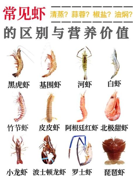 虾的营养价值高吗_虾的营养成分有哪些-第3张图片-山城妙识