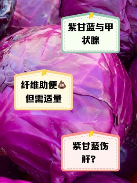 紫甘蓝中毒症状_吃了紫甘蓝多久会出现不适-第1张图片-山城妙识