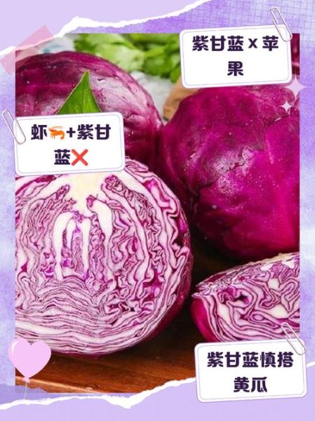 紫甘蓝中毒症状_吃了紫甘蓝多久会出现不适-第3张图片-山城妙识