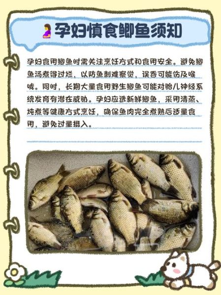 孕妇吃鲫鱼会流产吗_孕期鲫鱼安全吃法-第3张图片-山城妙识