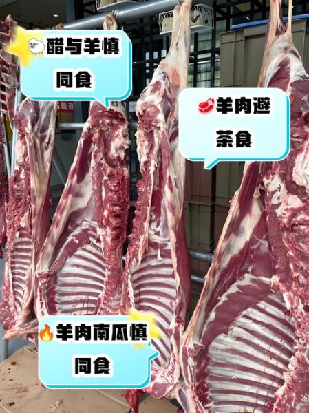 羊肉不能和什么一起吃_羊肉与哪些食物相克-第1张图片-山城妙识