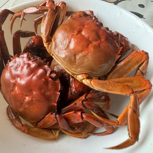 海螃蟹蒸多久可以吃_海蟹蒸多长时间最佳-第3张图片-山城妙识