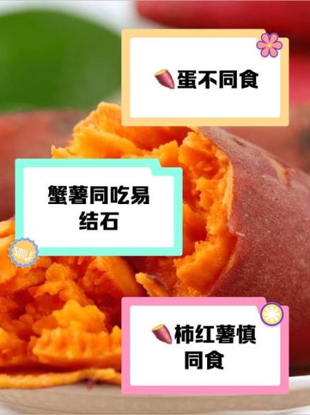 红薯不能和什么一起吃_红薯与哪些食物相克-第2张图片-山城妙识