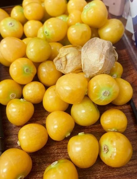 东北特色水果有哪些_东北特产水果怎么吃-第1张图片-山城妙识 东北特色水果有哪些_东北特产水果怎么吃-第1张图片-山城妙识