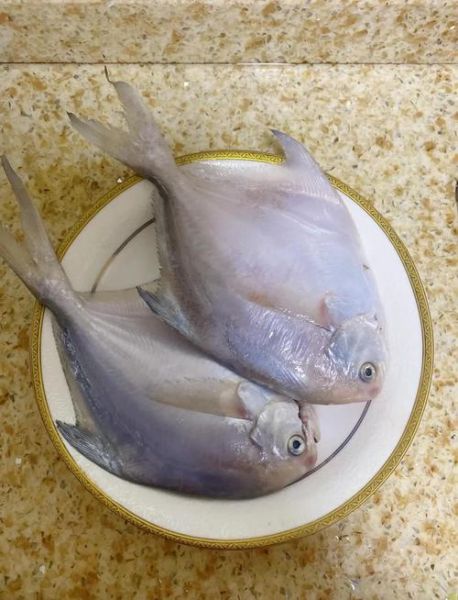 小海鲳鱼怎么做好吃_小海鲳鱼清蒸还是红烧-第2张图片-山城妙识