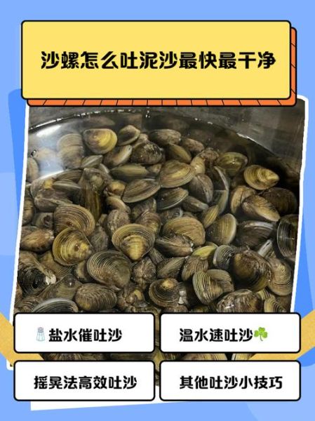 福建沙螺是什么_福建沙螺怎么吃-第1张图片-山城妙识