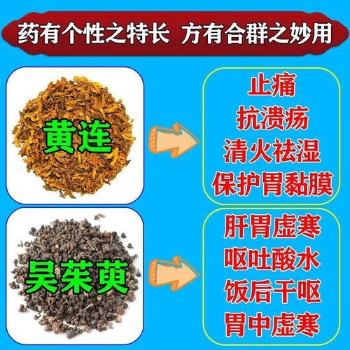 肠胃炎怎么治疗_肠胃炎吃什么药-第3张图片-山城妙识 肠胃炎怎么治疗_肠胃炎吃什么药-第3张图片-山城妙识