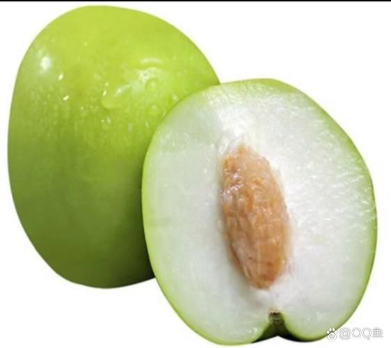 青枣什么时候成熟_青枣成熟月份-第1张图片-山城妙识 青枣什么时候成熟_青枣成熟月份-第1张图片-山城妙识