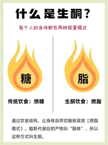生酮减肥法的原理是什么_生酮饮食如何快速燃脂-第2张图片-山城妙识 生酮减肥法的原理是什么_生酮饮食如何快速燃脂-第2张图片-山城妙识
