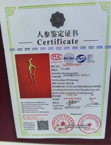 野山参图片真假鉴别_野山参图片价格多少钱-第1张图片-山城妙识 野山参图片真假鉴别_野山参图片价格多少钱-第1张图片-山城妙识