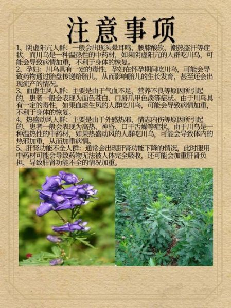 川乌的功效与作用_川乌的禁忌有哪些-第1张图片-山城妙识 川乌的功效与作用_川乌的禁忌有哪些-第1张图片-山城妙识