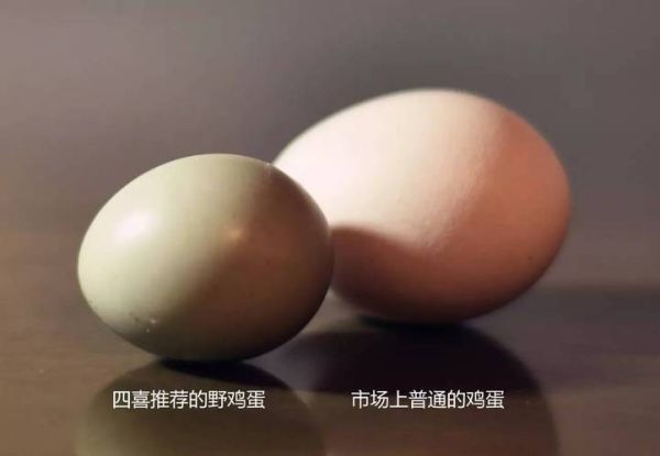 野鸡蛋图片_如何分辨真假-第1张图片-山城妙识