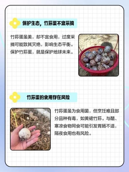 竹荪蛋是什么_竹荪蛋怎么吃-第1张图片-山城妙识 竹荪蛋是什么_竹荪蛋怎么吃-第1张图片-山城妙识