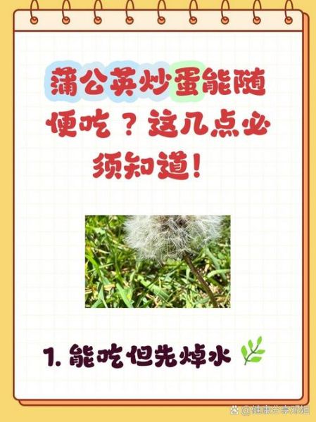 蒲公英炒鸡蛋的功效与作用_孕妇能吃吗-第1张图片-山城妙识 蒲公英炒鸡蛋的功效与作用_孕妇能吃吗-第1张图片-山城妙识