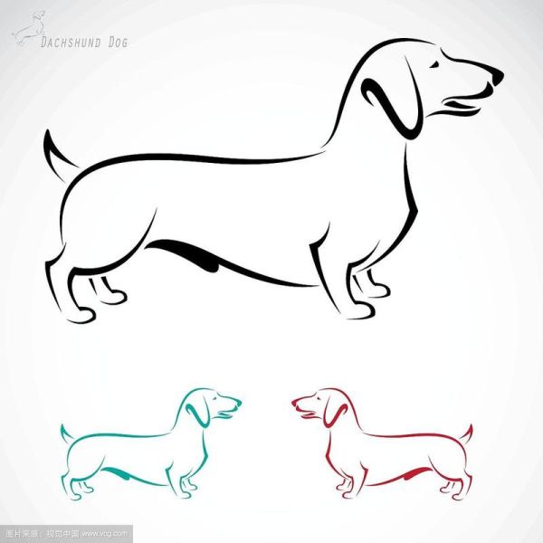 腊肠狗图片卡通怎么画_卡通腊肠狗简笔画教程-第3张图片-山城妙识 腊肠狗图片卡通怎么画_卡通腊肠狗简笔画教程-第3张图片-山城妙识