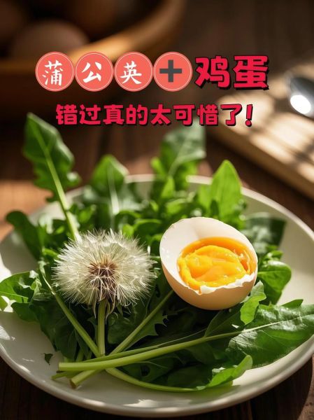 蒲公英炒鸡蛋的功效与作用_孕妇能吃吗-第3张图片-山城妙识 蒲公英炒鸡蛋的功效与作用_孕妇能吃吗-第3张图片-山城妙识
