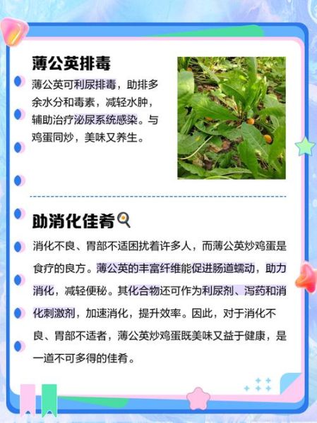 蒲公英炒鸡蛋的功效与作用_孕妇能吃吗-第2张图片-山城妙识 蒲公英炒鸡蛋的功效与作用_孕妇能吃吗-第2张图片-山城妙识