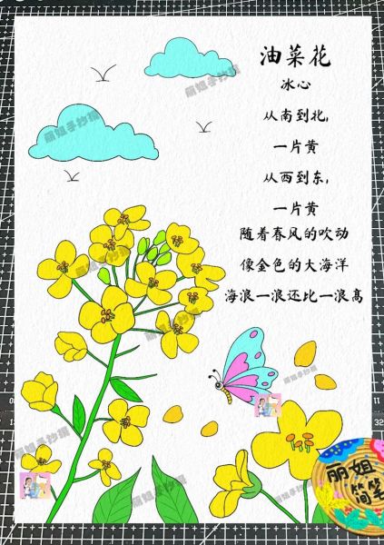 油菜花歌词含义_油菜花背后的故事-第1张图片-山城妙识 油菜花歌词含义_油菜花背后的故事-第1张图片-山城妙识