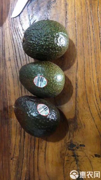 鳄梨价格多少钱一斤_鳄梨一斤多少钱-第1张图片-山城妙识 鳄梨价格多少钱一斤_鳄梨一斤多少钱-第1张图片-山城妙识